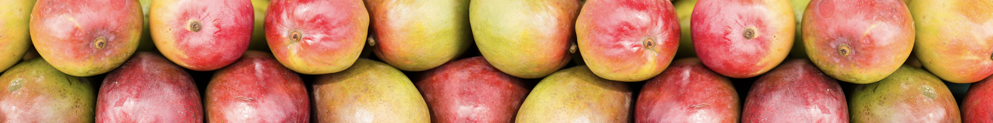 FDACS Industry Assistance Portal Starter Guide